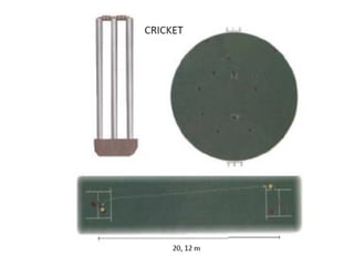 Sport field dimensions - Dimensiones de campos de deporte | PPT