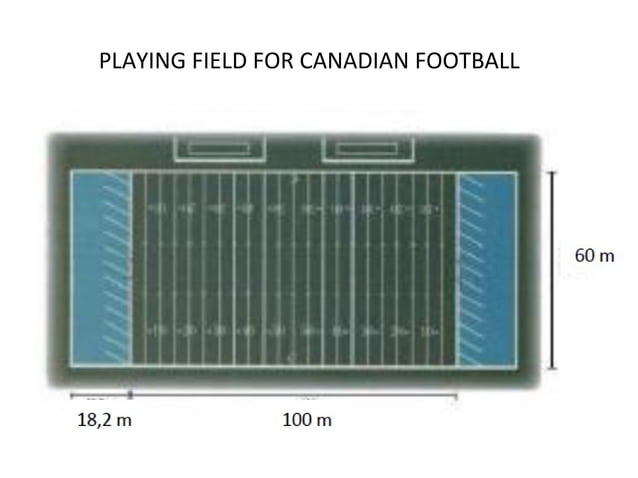 Sport field dimensions - Dimensiones de campos de deporte | PPT