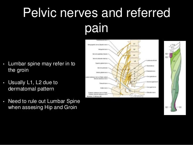 Sporting Hip and Groin