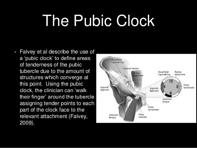 Sporting Hip and Groin