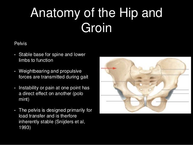 Sporting Hip And Groin