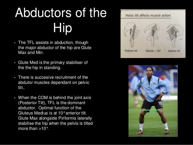 Sporting Hip and Groin