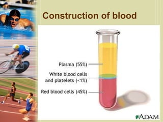Sport injuries physiological resposes (muscle strain) | PPT