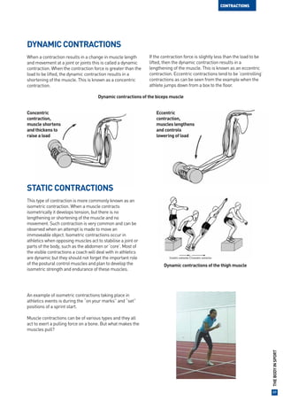 sport physiology.pdf