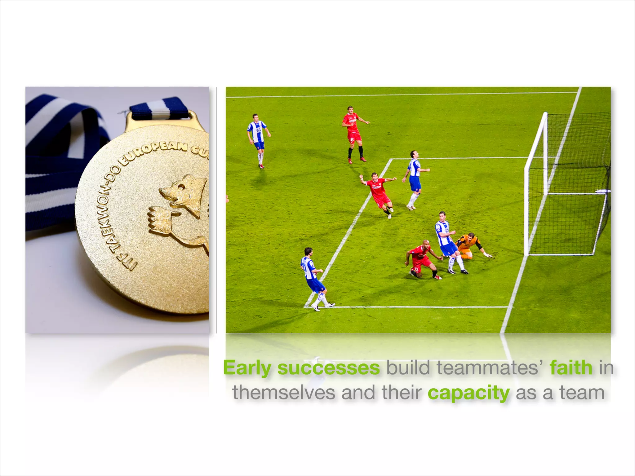 Sports teams are good models for workplace teams | PDF