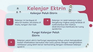 Sport Science pp ( Kullit ) sem 2 (2).pptx