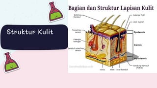 Sport Science pp ( Kullit ) sem 2 (2).pptx