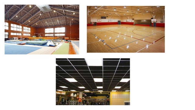 Sports complex | PPTX | Swimming | Sports