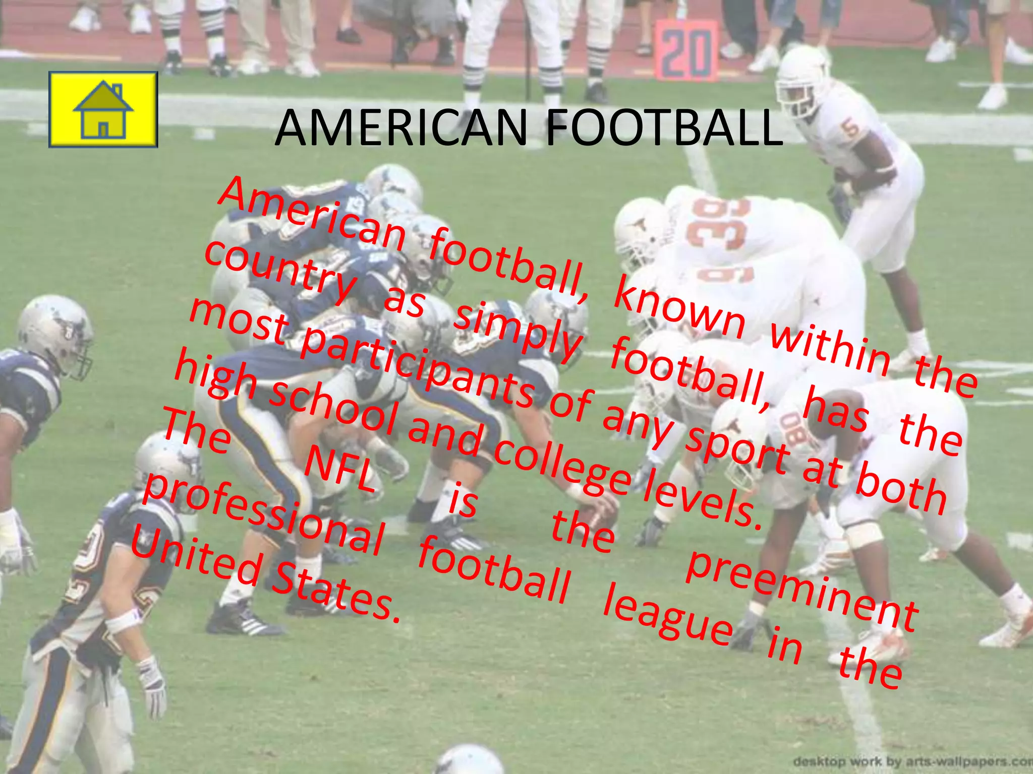 Sports in the United States Josep Ricci | PPTX