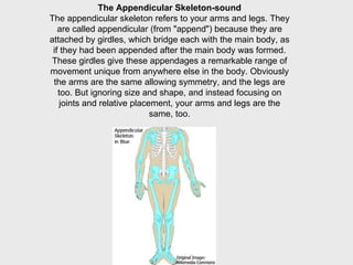 Sport skeletal system | PPT