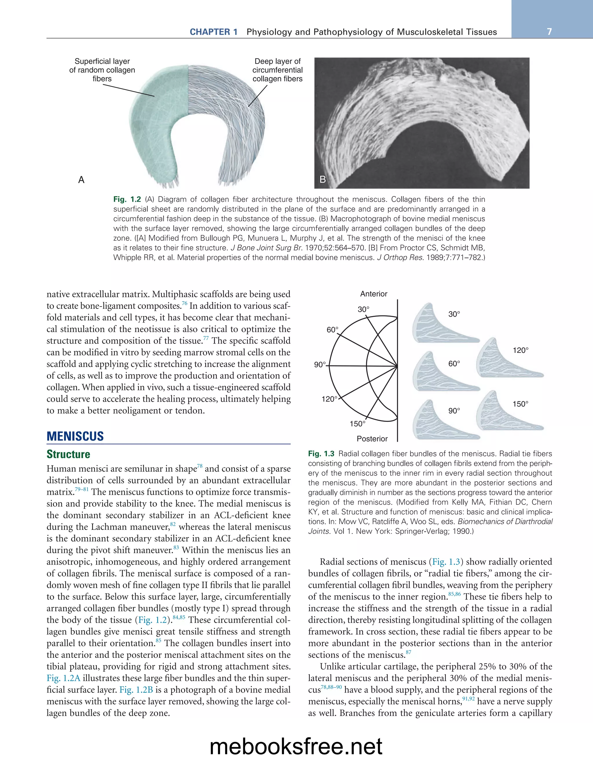 SPORTS MEDICINE.pdf