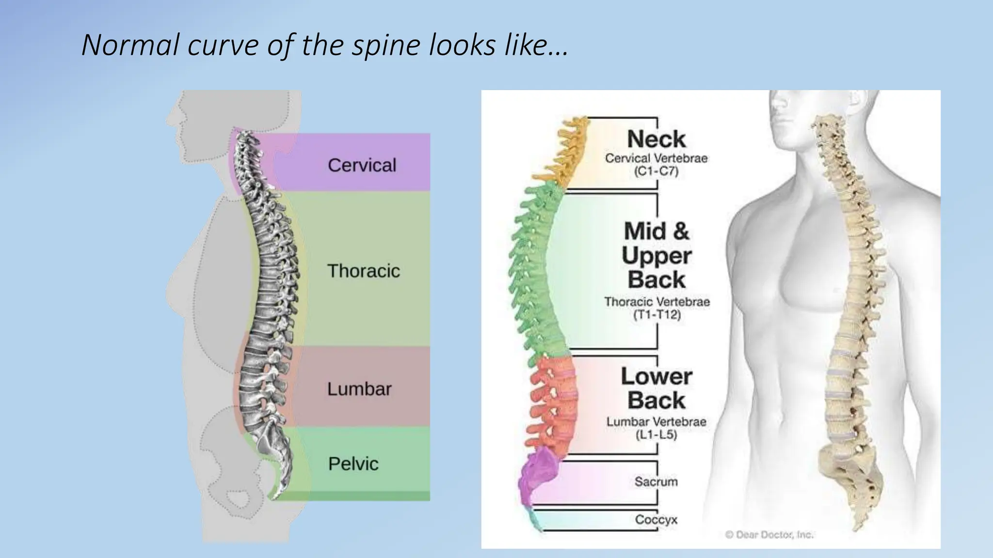 Sports medicine, physiotherapy and rehabilitation.pptx