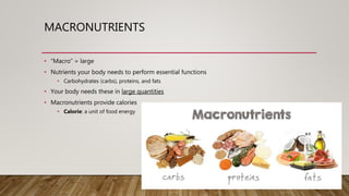 Sports Nutrition (OneNote Assignment) | PPT