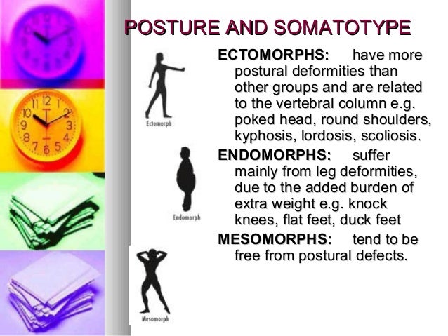 Sports performance 1.5 somatotypes