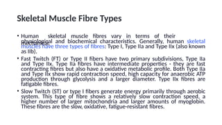 Sports Physiology.pptx human anatomy and physiology | PPTX