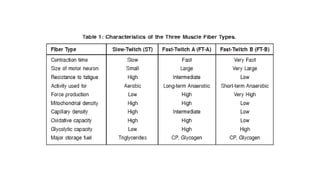 Sports Physiology.pptx human anatomy and physiology | PPTX