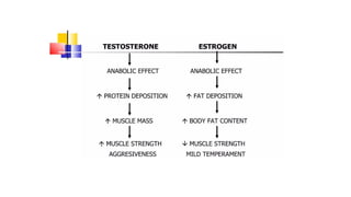 Sports Physiology.pptx human anatomy and physiology | PPTX
