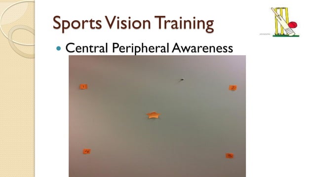 Sports Vision - Renee Edgar.pdf