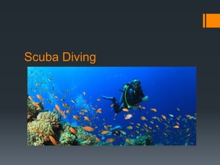 ESL Sports Vocabulary | PPTX