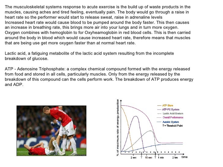 Lactic Acid System Response To Acute Exercise Online Degrees
