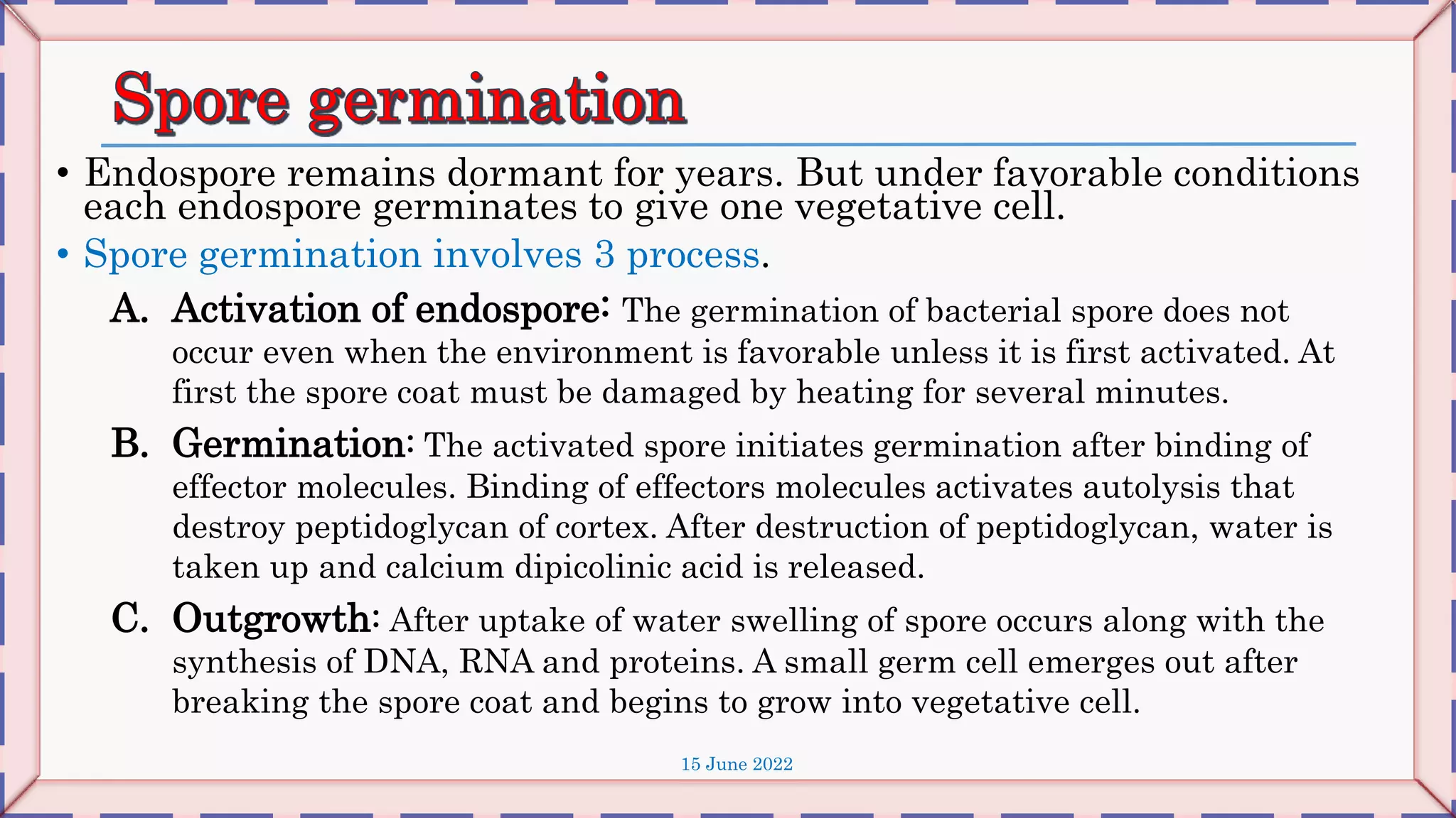Sporulation in bacteria.pptx