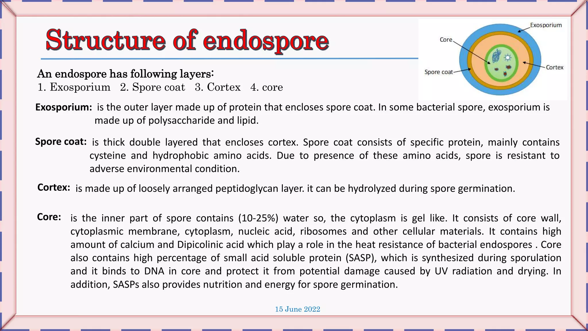 Sporulation in bacteria.pptx
