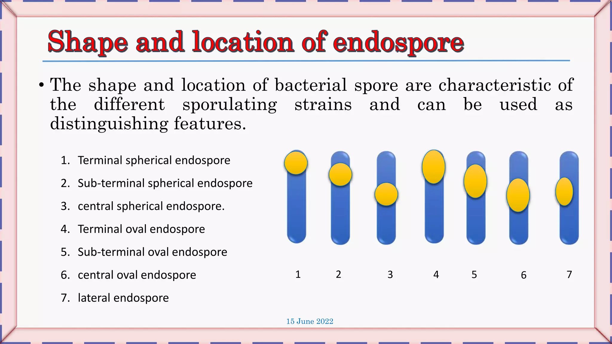 Sporulation in bacteria.pptx