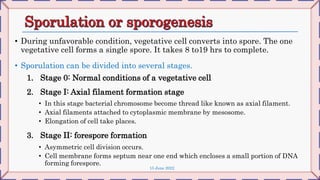 Sporulation in bacteria.pptx