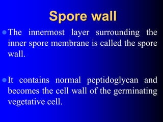 Sporulation.ppt
