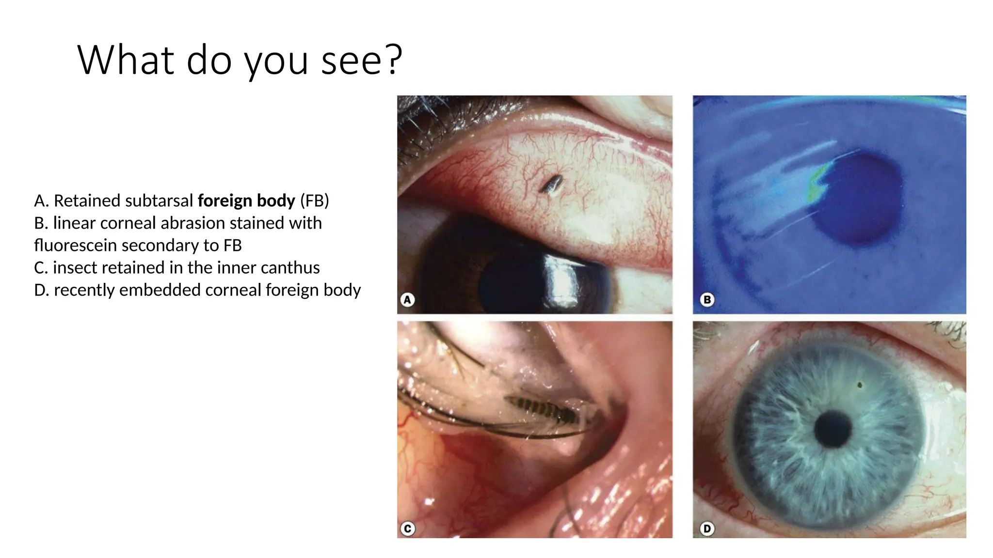 Spot Diagnosis - Look at the pictures-What do you See - Trauma.pptx