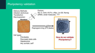 Spotlight on ipsc reprogramming | PDF