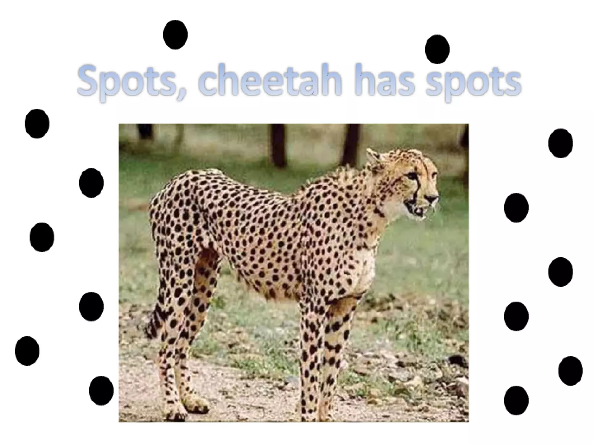 Spots and stripes | PDF