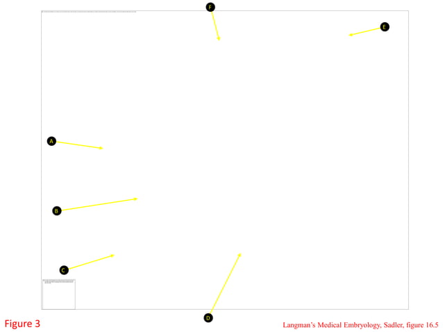 Spotter question | PPTX