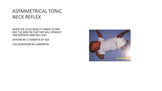 SPOTTERS REVISION.pptx