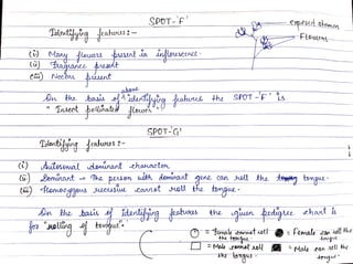 Spotting.AnswerSheet.pdf