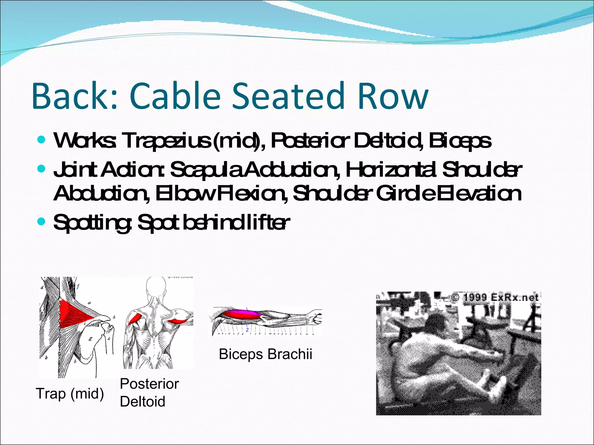 Spotting And Lifting Form | PPT | Fitness and Exercise | Healthy Living