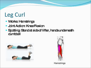 Spotting And Lifting Form | PPT | Fitness and Exercise | Healthy Living