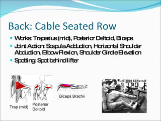Spotting And Lifting Form | PPT