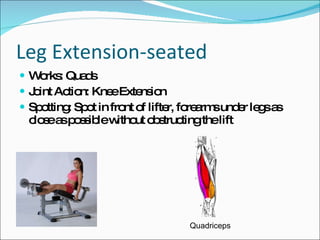 Spotting And Lifting Form | PPT | Fitness and Exercise | Healthy Living