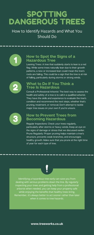 Spotting Dangerous Trees How to Identify Hazards and What You Should Do.pdf