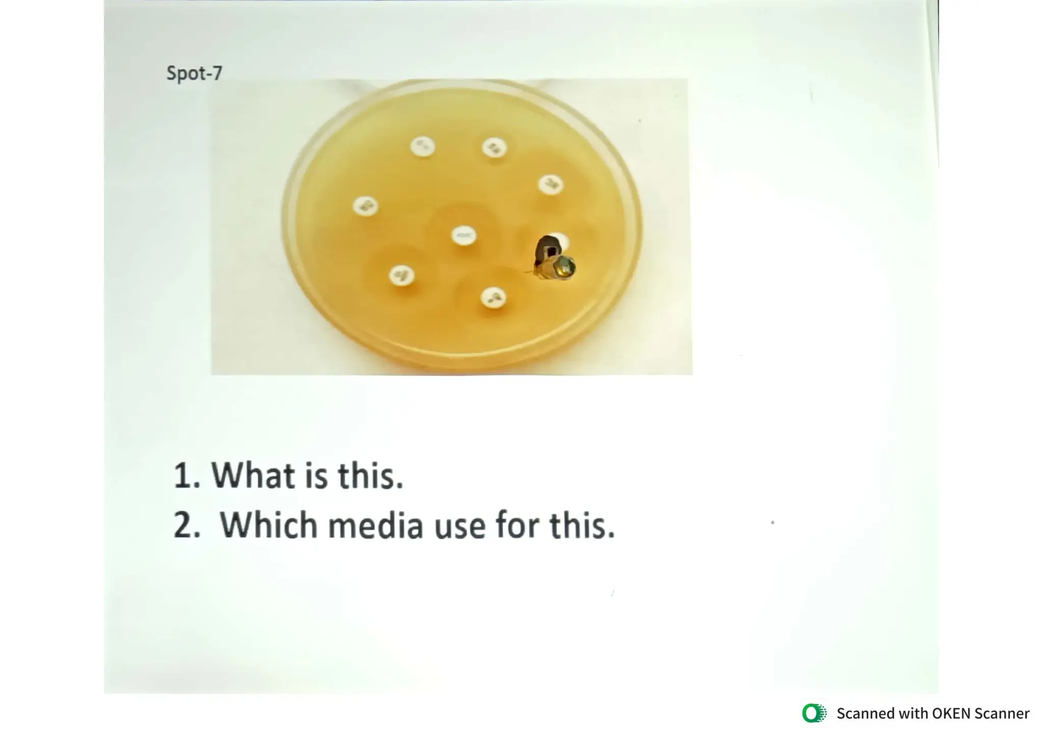 Spotting microbiology final .pdf