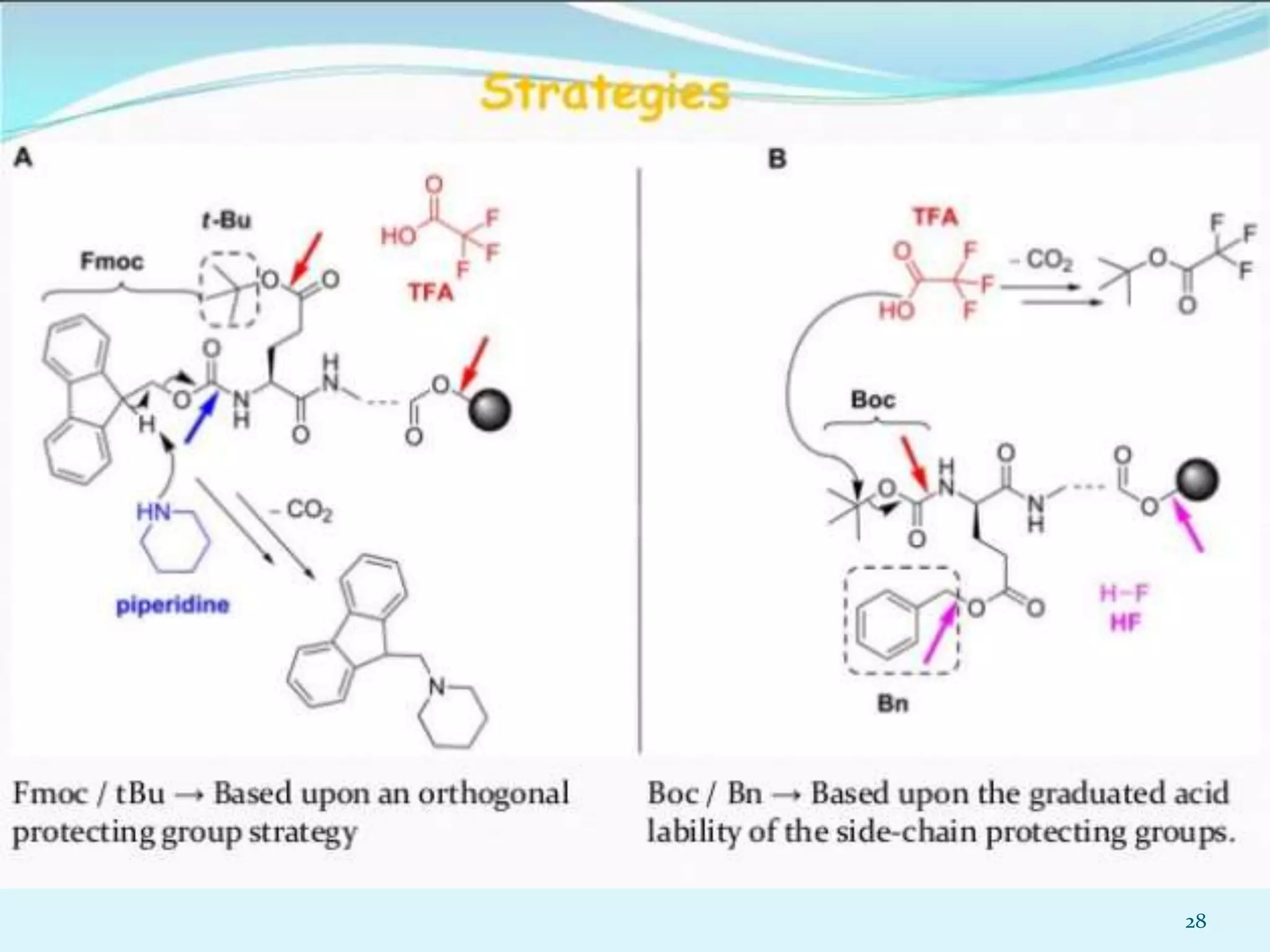 Spps and side reactions in peptide synthesis | PPTX
