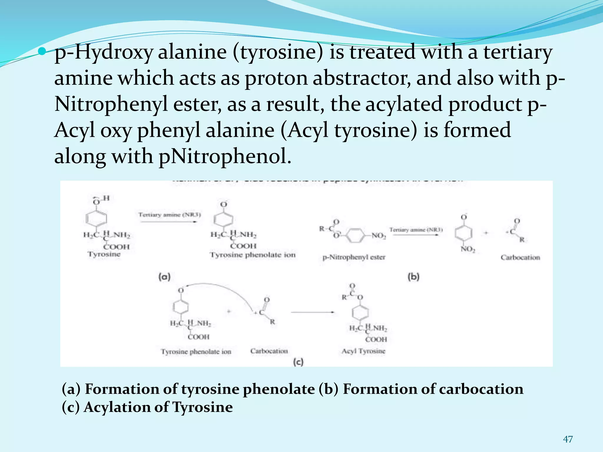Spps and side reactions in peptide synthesis | PPTX