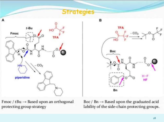 Spps and side reactions in peptide synthesis | PPTX