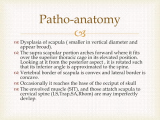 Sprengle shoulder (congenital elevation of scapula) | PPTX