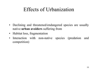 Sprawled City; Lesson 10.ppt