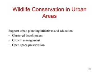 Sprawled City; Lesson 10.ppt