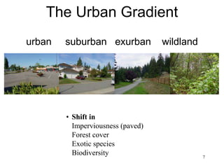 Sprawled City; Lesson 10.ppt