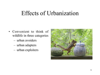 Sprawled City; Lesson 10.ppt