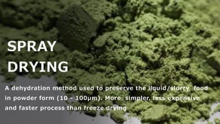 Spray drying food preservation | PPTX